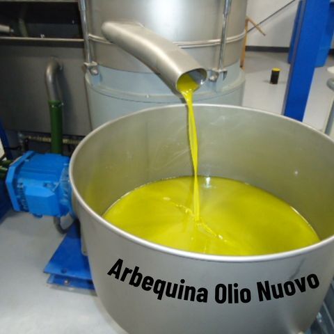 The Freshest Olive Oils | Olivas de Oro